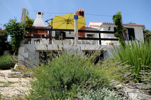 Apartmani Brač Škrip - Kuća za odmor Maria Škrip | Apartmanija.hr