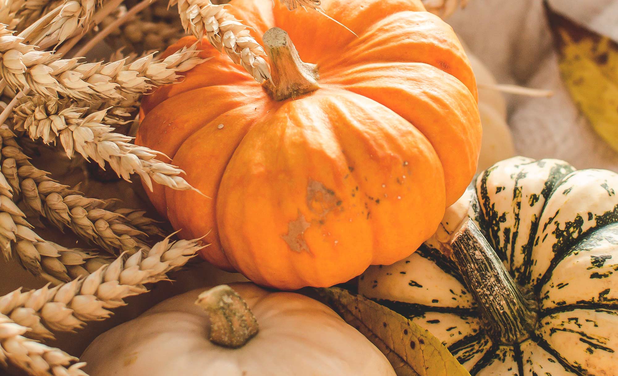 Festival tikvi u Varaždinu smještaj i apartmani u okolici | Apartmanija.hr