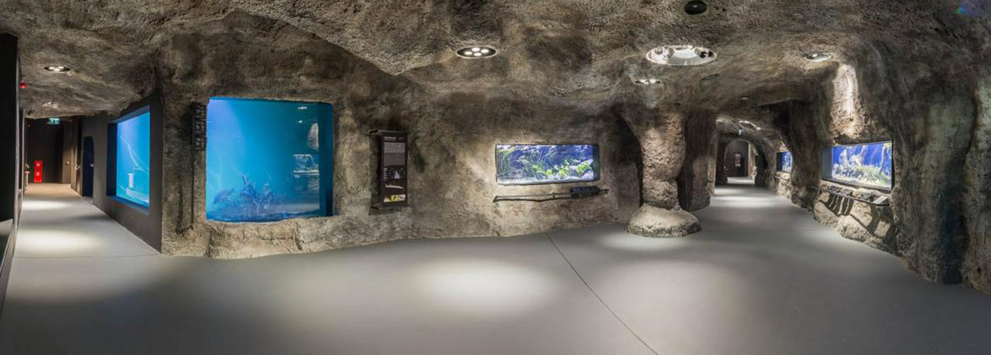 Aquatica - slatkovodni akvarij Karlovac smještaj i apartmani u okolici ...