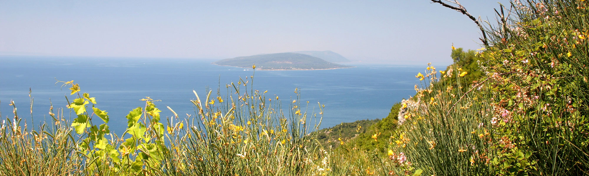 Staro selo Brist smještaj i apartmani u okolici | Apartmanija.hr